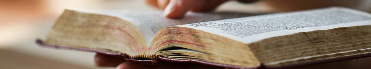 Scripture Verses – Pray for the 31